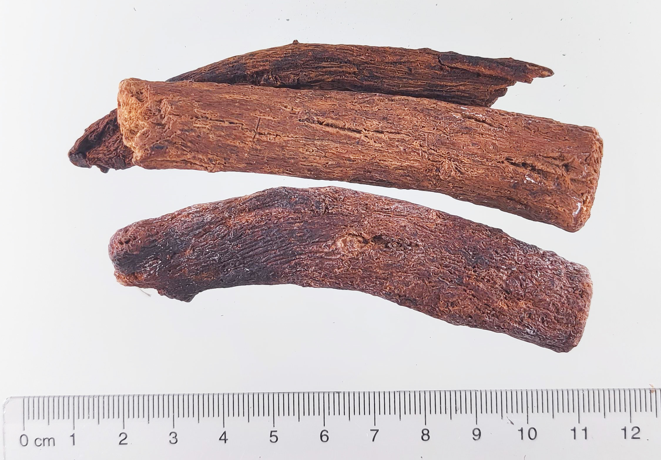 越西木香_拼音：Yueximuxiang_英文名：_拉丁名：Vladimiria denticulata Ling_科名：菊科 ...