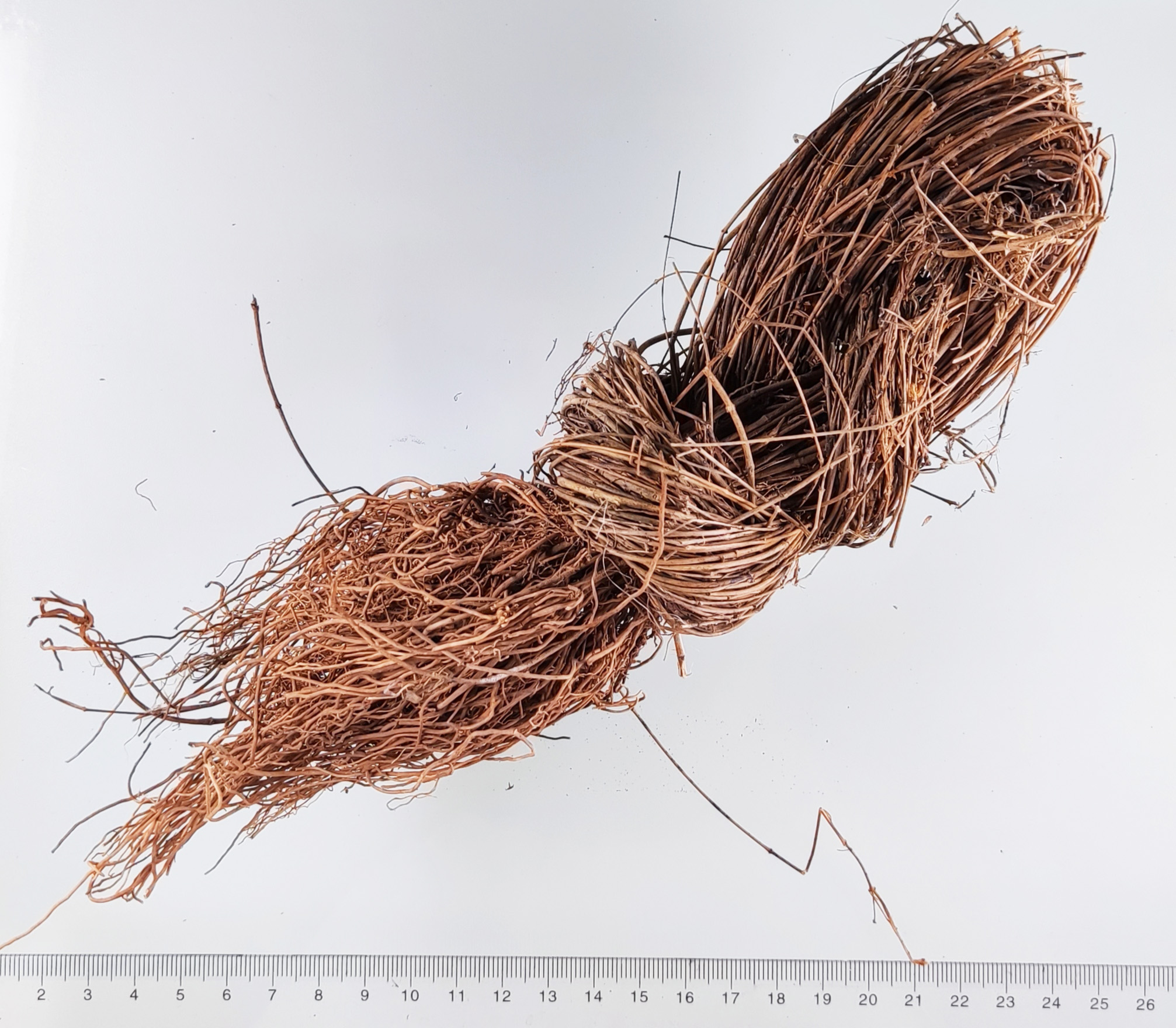 徐长卿_拼音：Xuchangqing_英文名：Paniculate Swallowwort Root_拉丁名：Cynanchi ...